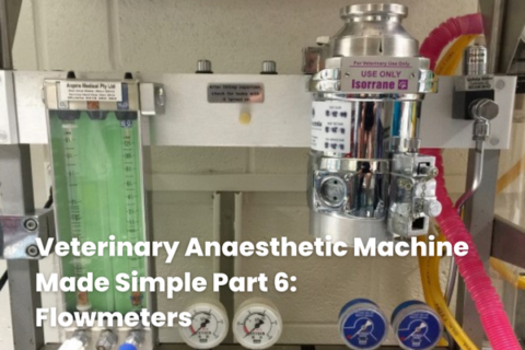 Veterinary Anaesthetic Machine Made Simple Part 6: Flowmeters - Vetanswers